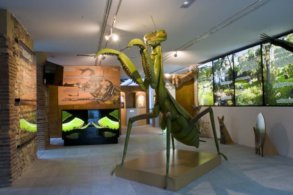 Abre InsectPark en San Lorenzo, un centro único en Europa