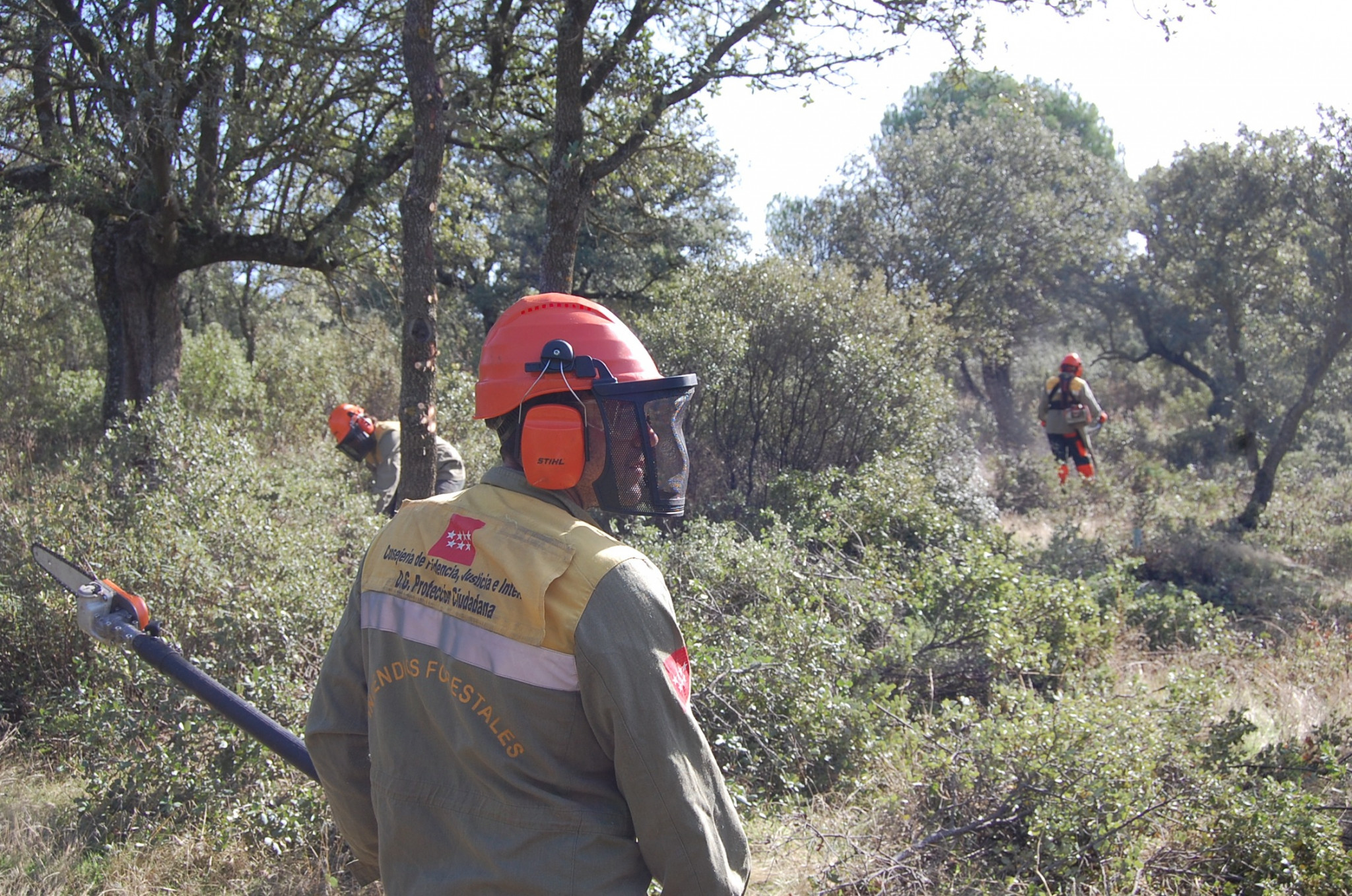 La Comunidad impulsa la coordinación de bomberos y brigadas y agentes ...