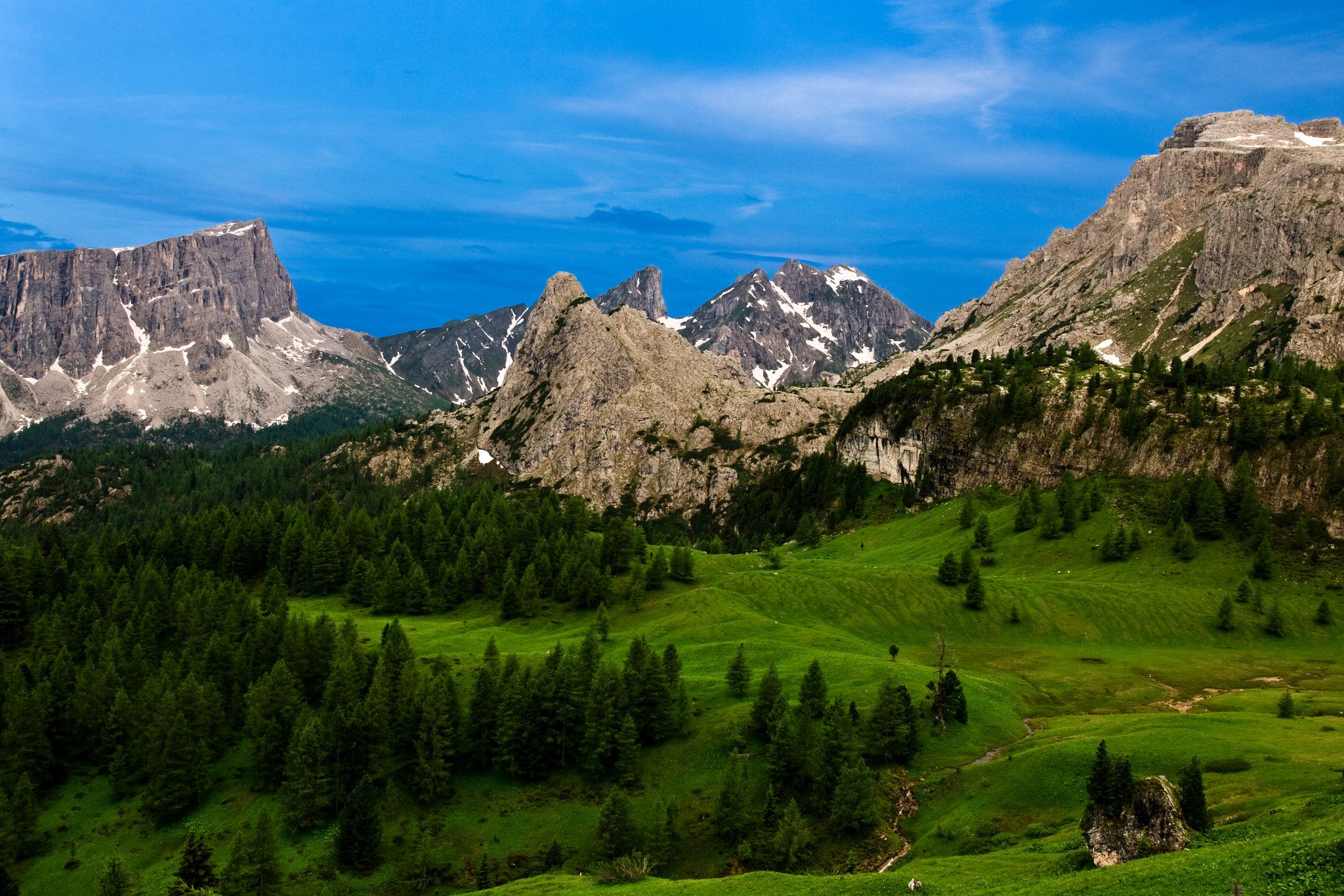Alpedrete acoge la muestra "Mundos naturales", con imágenes de Federico ...